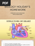 Human Heart Structure Overview | PDF