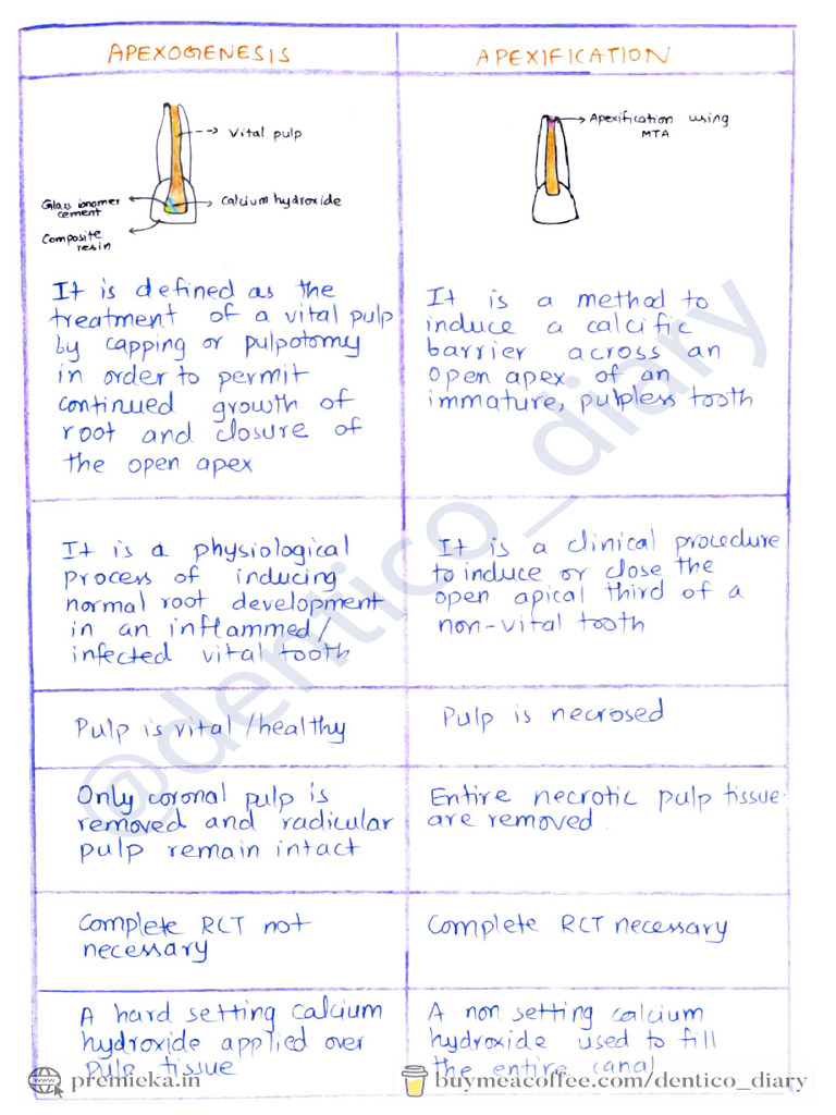 Apexogenesis Vs Apexification | PDF | Mouth | Dental Anatomy