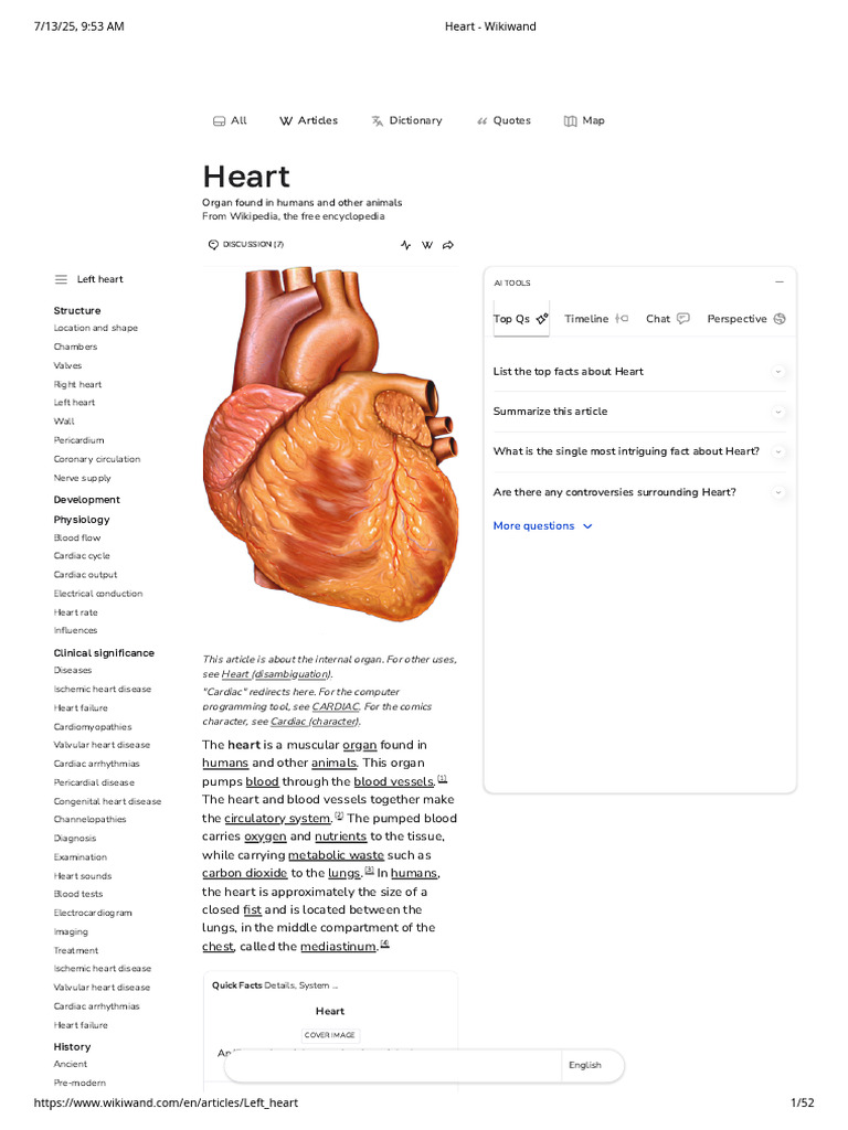 Heart - Wikiwand | PDF | Heart Valve | Heart
