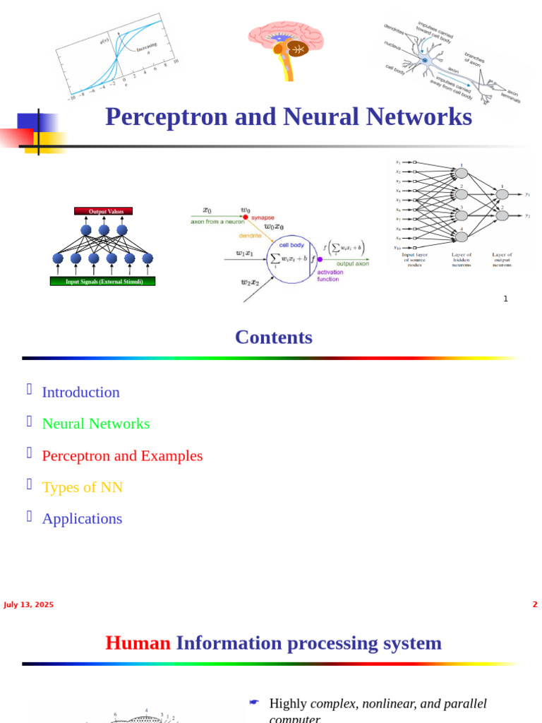 Perceptron Neural Networks | PDF | Nervous System | Cognitive Science