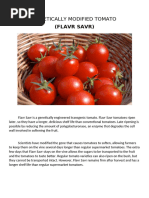 Flavr Savr Tomato: Genetic Engineering Insights | PDF | Tomato ...