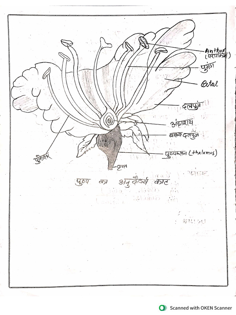 Biology Figure | PDF