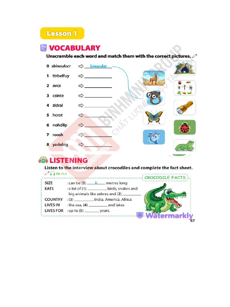 Unit 11 Animals | PDF