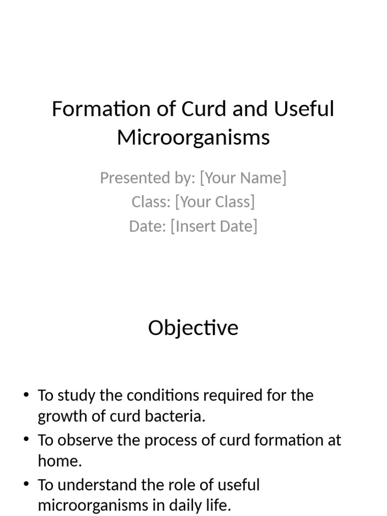 Role of Lactobacillus in Curd Formation | PDF | Yogurt | Microorganism