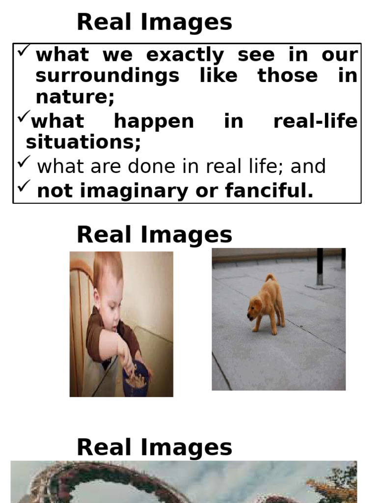 Real vs. Make-Believe Images Explained | PDF
