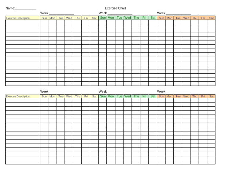 Exercise Chart 19 | PDF