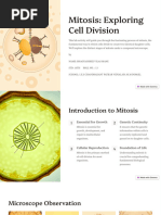 Mitosis in Human Skin Cells Study | PDF | Mitosis | Cell Biology
