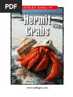 A House For Hermit Crab | PDF