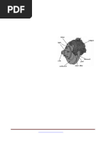 Formula Student Car Braking System Analysis | PDF | Brake | Mechanical ...