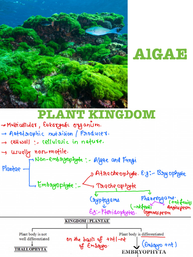 Algae Pdf Notes Pdf