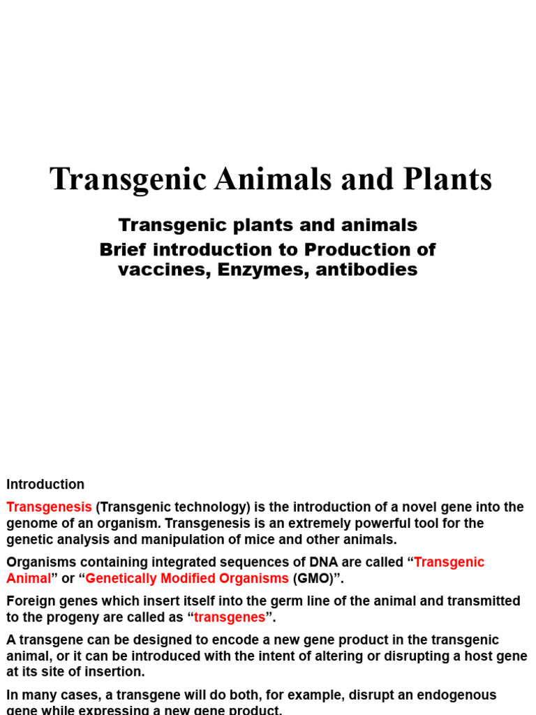 Transgenic Plants and Animals | PDF | Transgene | Genetically Modified ...