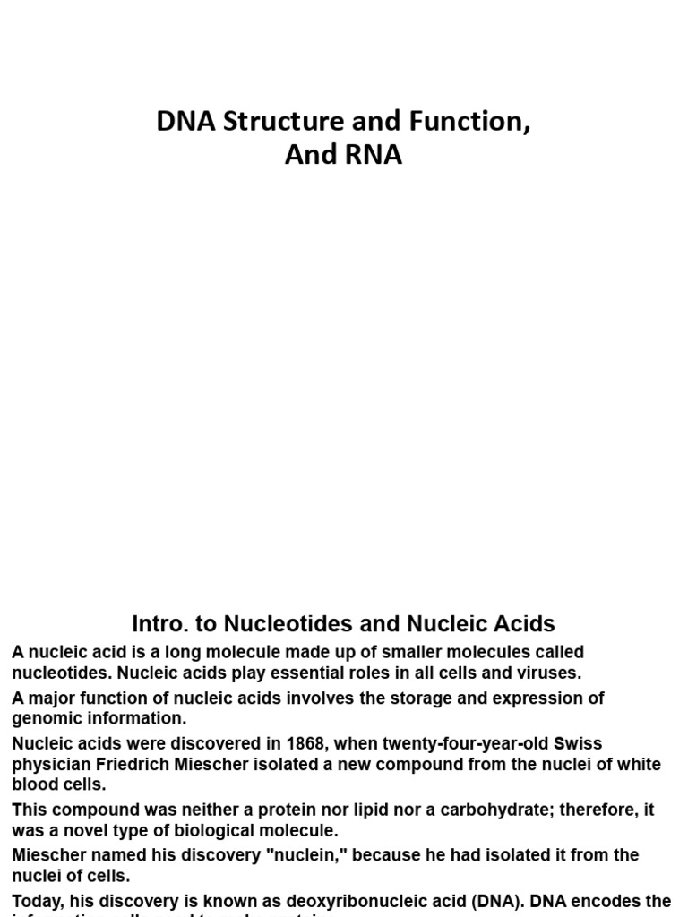 Nucleic Acids Dna And Rna Pdf Messenger Rna Ribosomal Rna
