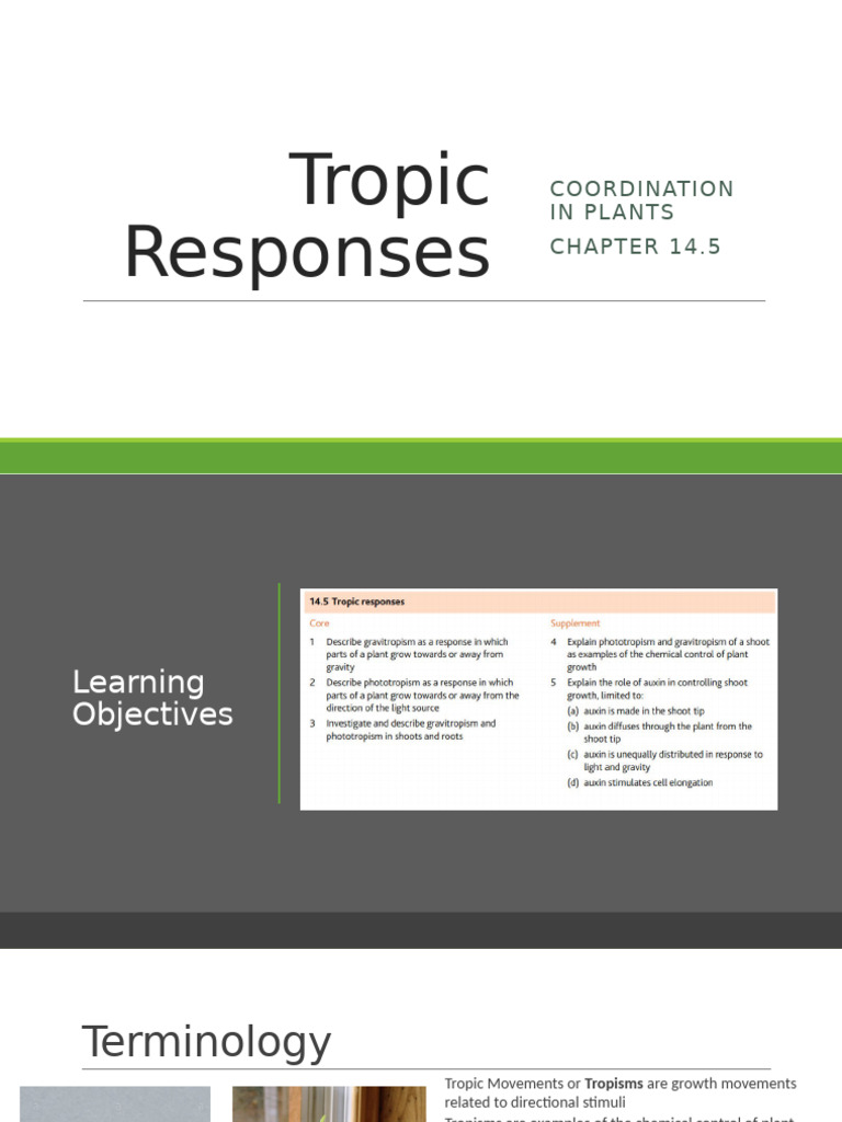 14.5 Tropic Responses | PDF