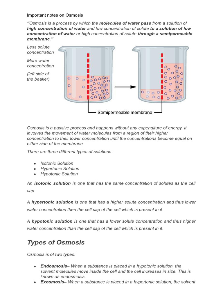 Types of Osmosis Explained | PDF