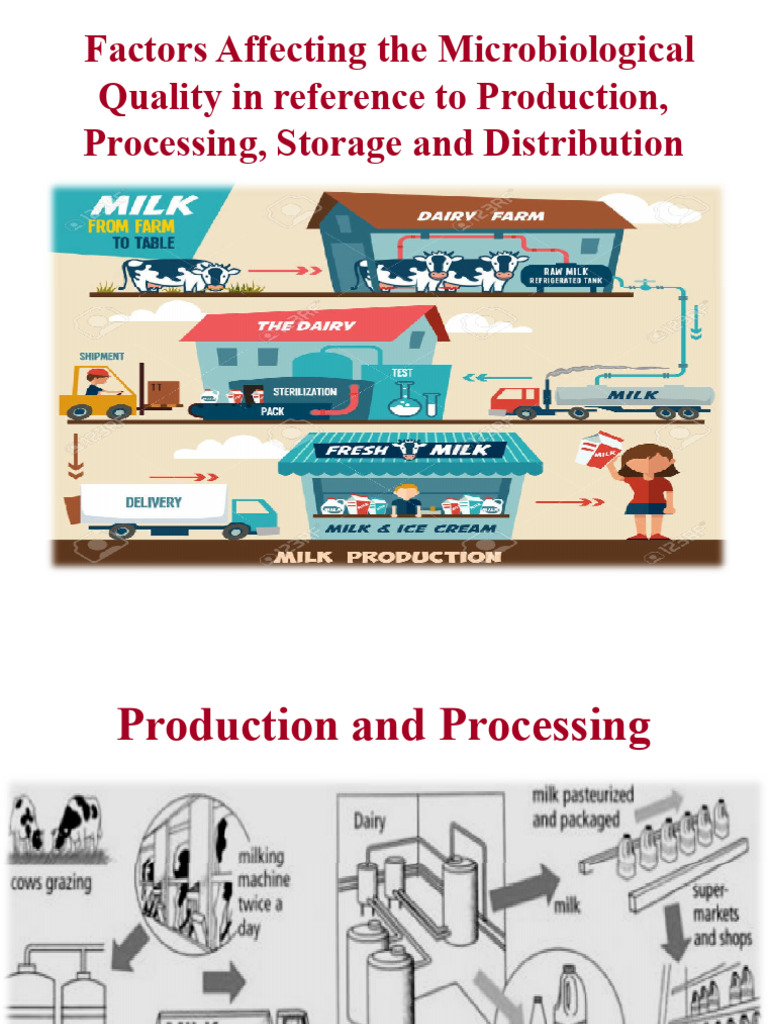 Microbiological Quality in Dairy Production | PDF | Milk | Microorganism