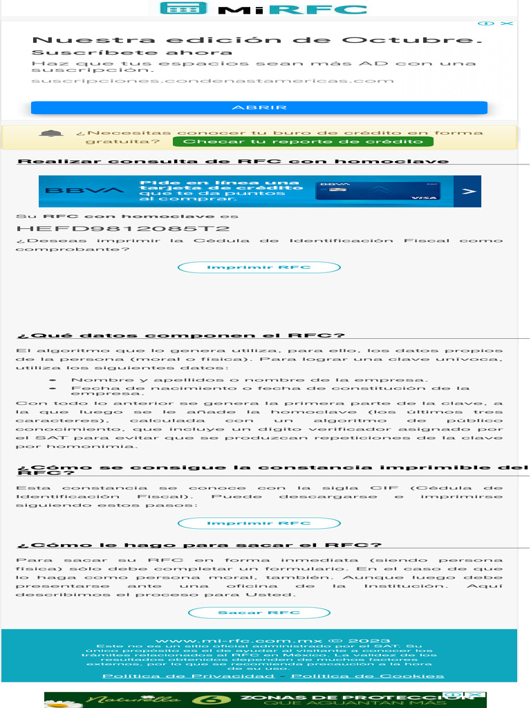 Consulta de RFC con Homoclave Gratis | PDF