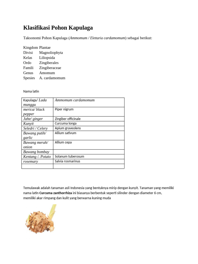 Nama Latin Rempah2 | PDF