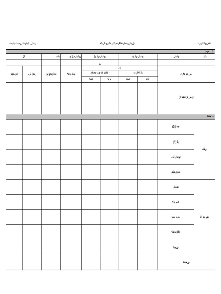 Dressing Talley Sheet Pashto-A4 | PDF