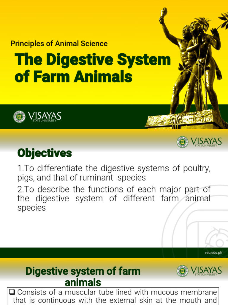 Topic 2 The Digestive System of Farm Animals Principles of Animal ...