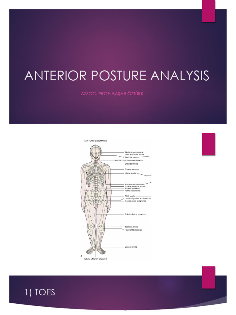 Anterior Posture Analysis | PDF | Anatomical Terms Of Motion | Foot
