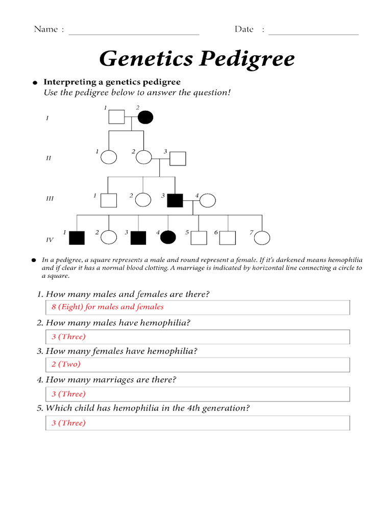 Pedigree Chart | PDF