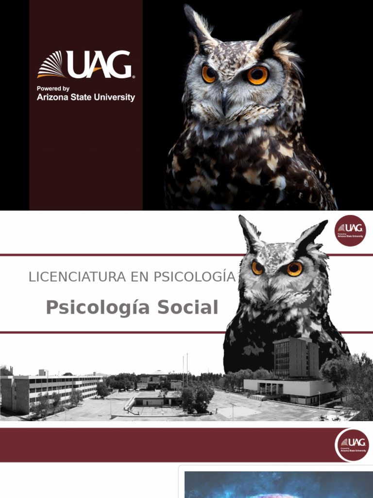 Psicologia Social Ontogenesis | PDF | Sicología | Humano