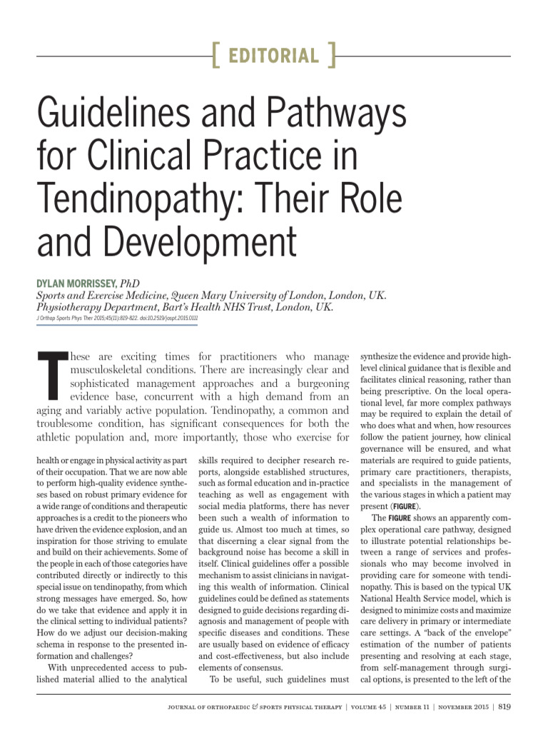 Guidelines and Pathways For Clinical Practice in Tendinopathy Their ...