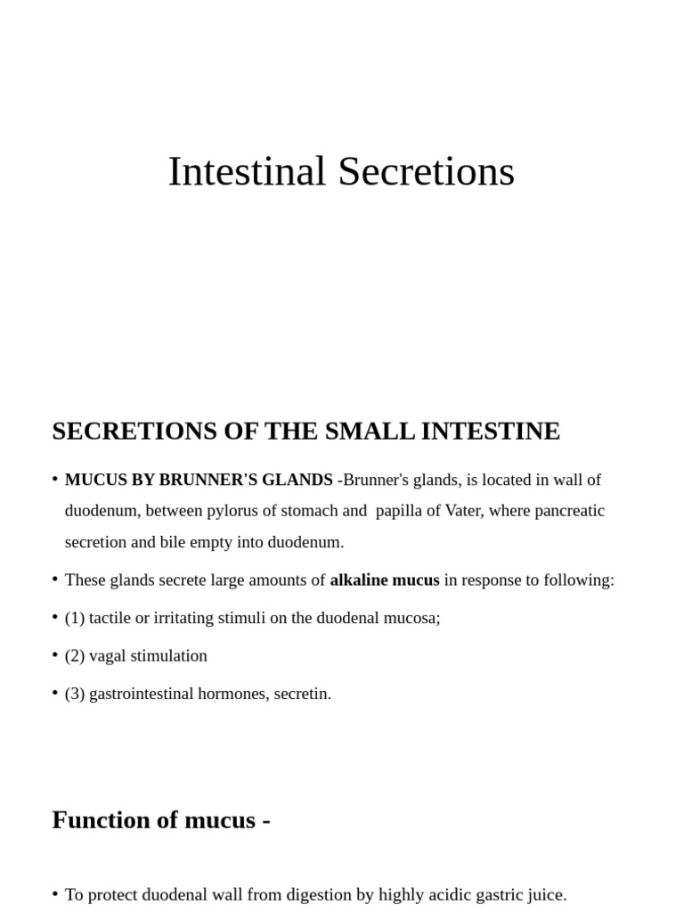 Intestinal Secretions | PDF | Digestive System | Abdomen