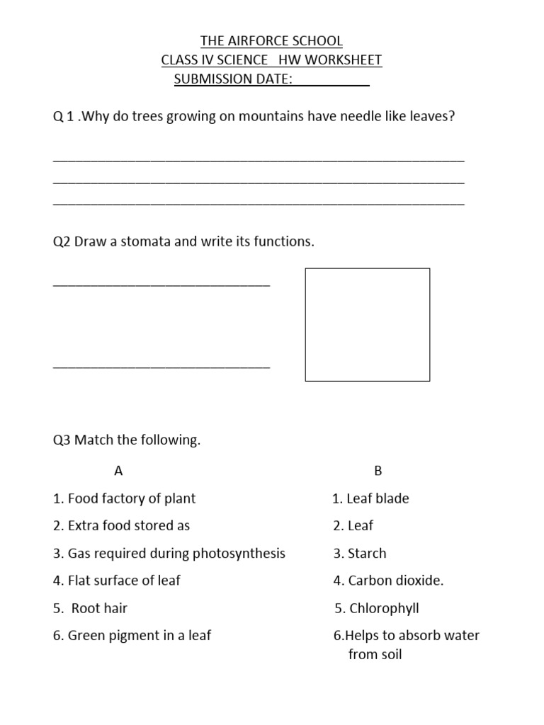 CBSE Class 4 Science Worksheet - Revision | PDF