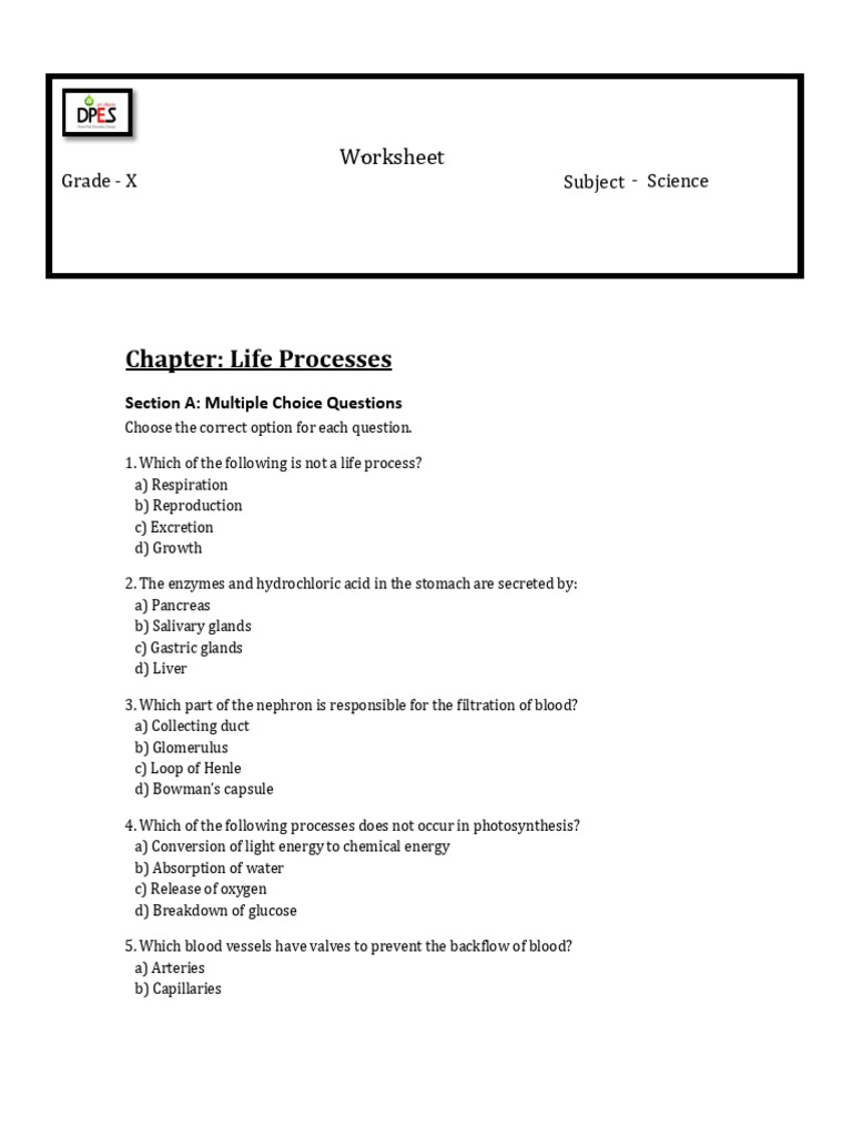 Life Processes Worksheet Grade10 | PDF