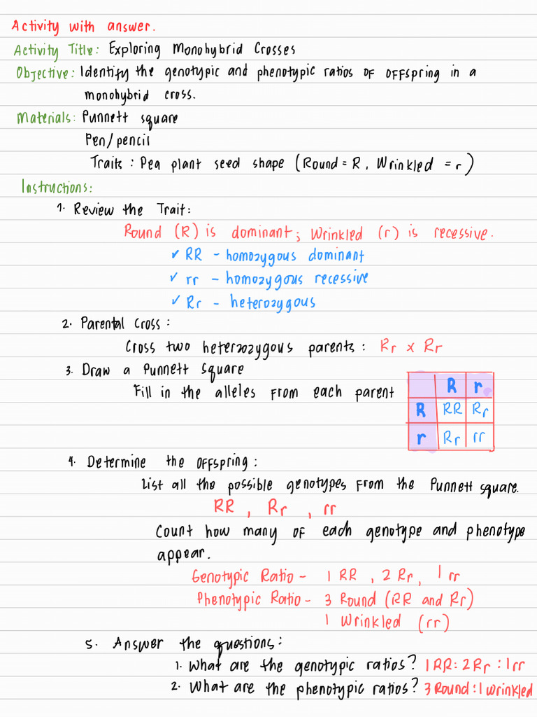 Activity Genotype and Phenotype 250703 133024 | PDF