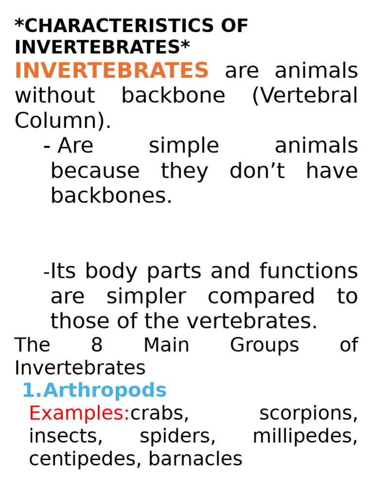 Key Traits of Invertebrates | PDF