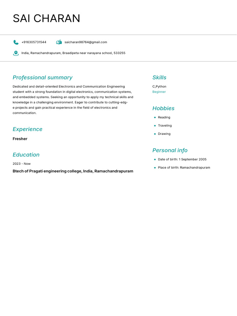 Electronics Engineering Student Profile | PDF