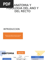 Anatomía del Recto y Conducto Anal | PDF | Útero | Recto