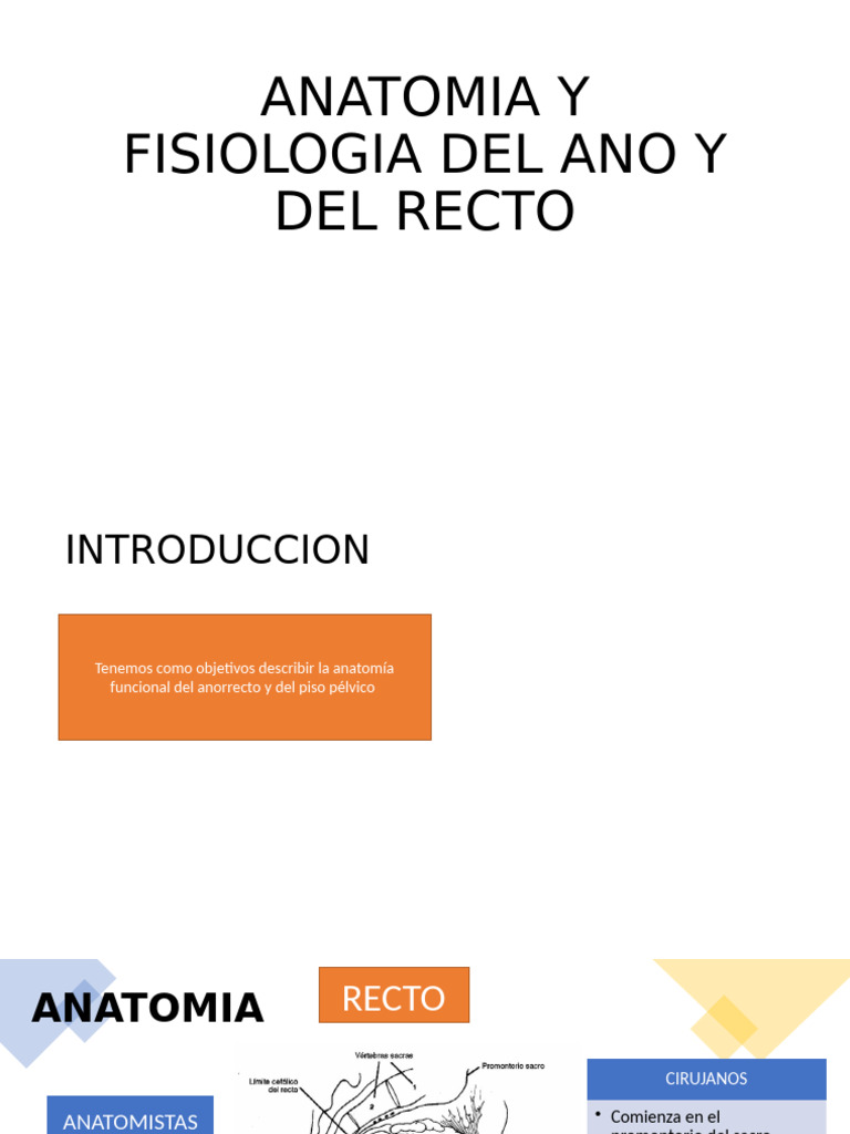 Anatomia y Fisiologia Del Ano y Del Recto Presentacion | PDF | Recto | Pelvis