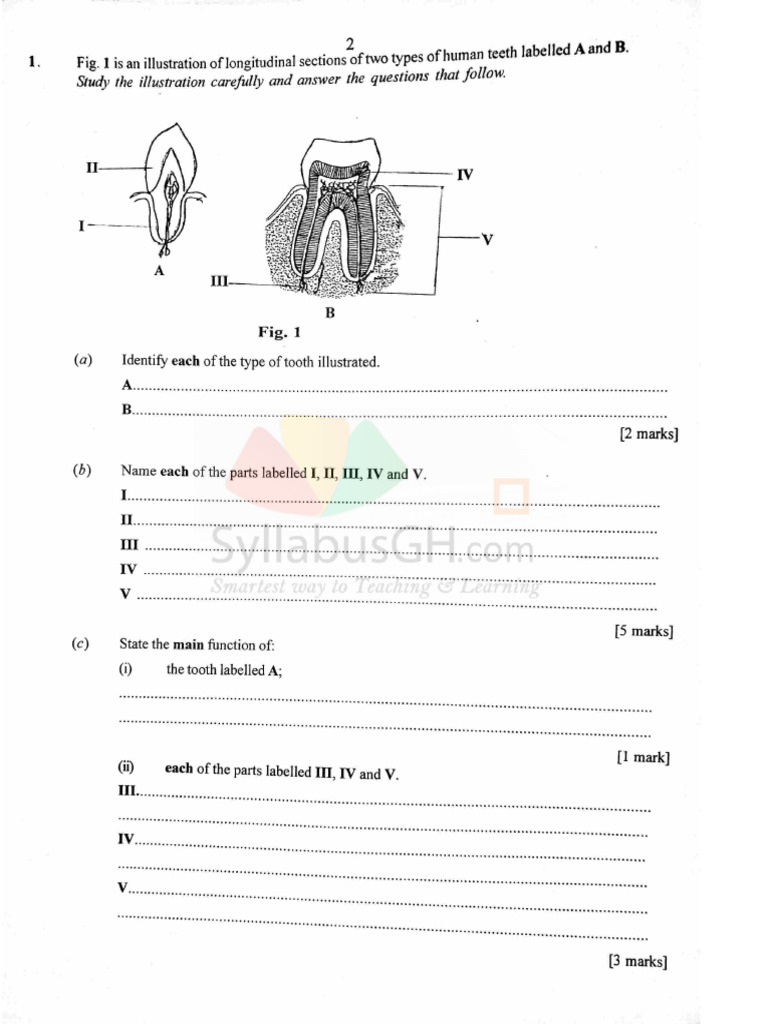 2023 Wassce Integrated Science 3 | PDF