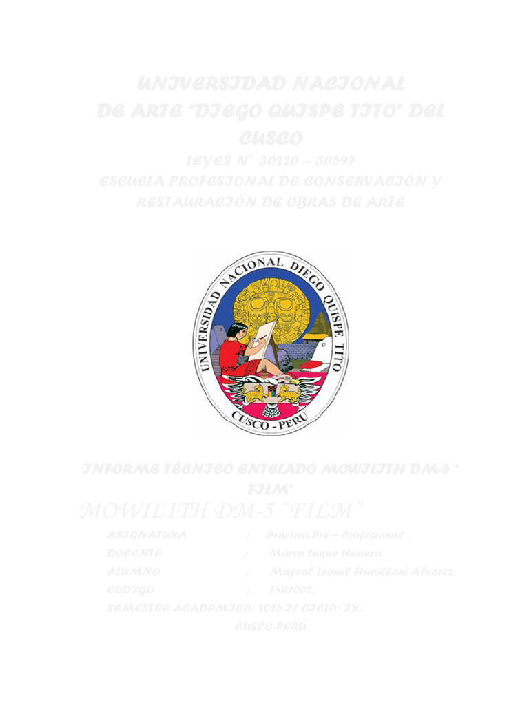 Informe Técnico sobre Conservación de Bodegón | PDF | Pinturas | Lona