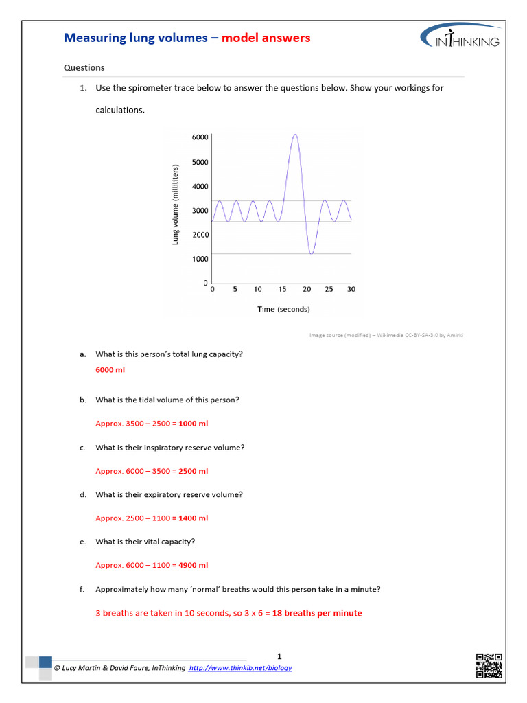 Lung Volumes and Capacities Analysis | PDF | Exhalation | Pulmonology