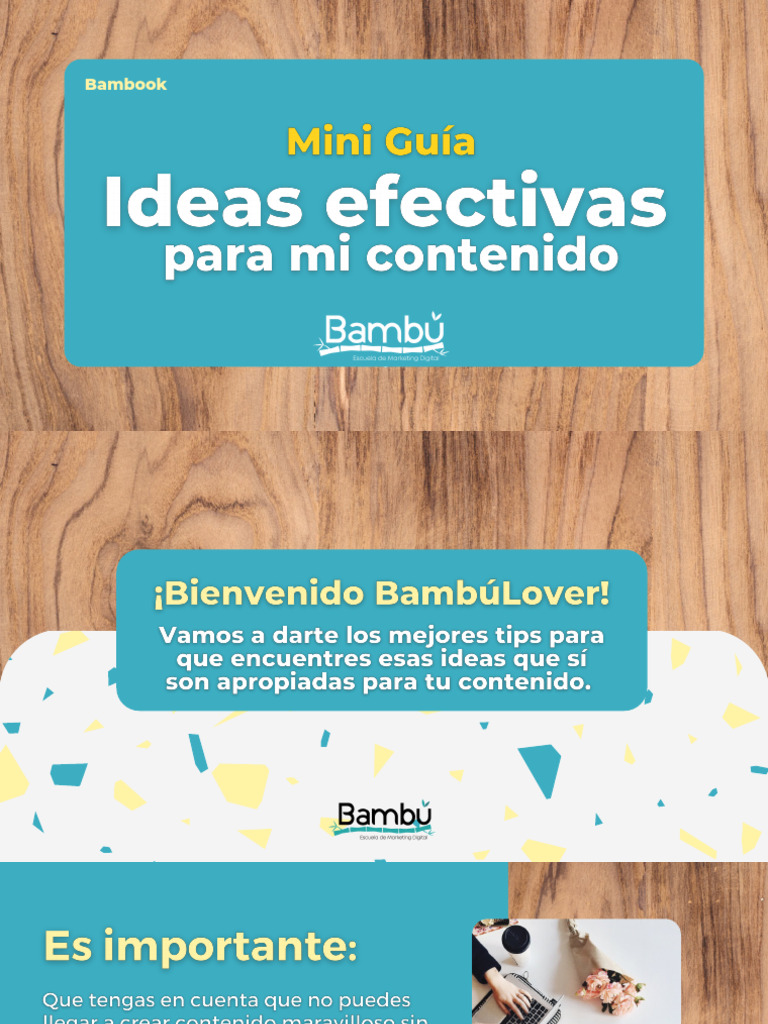 Mini Guía Ideas Efectivas | PDF