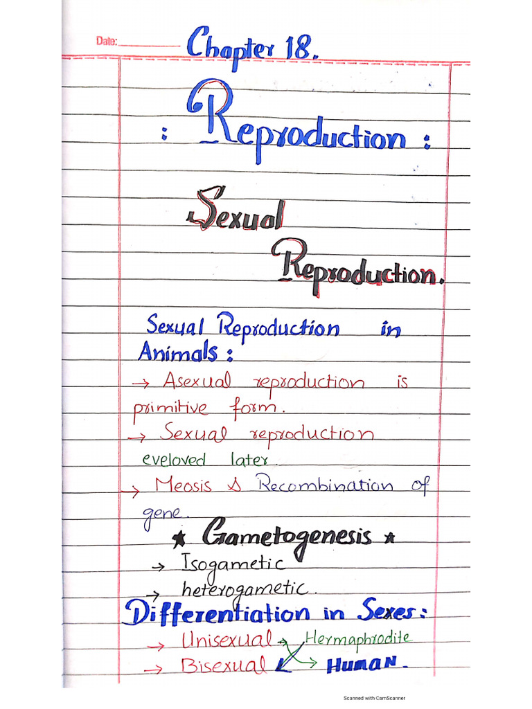 Human Reproduction | PDF