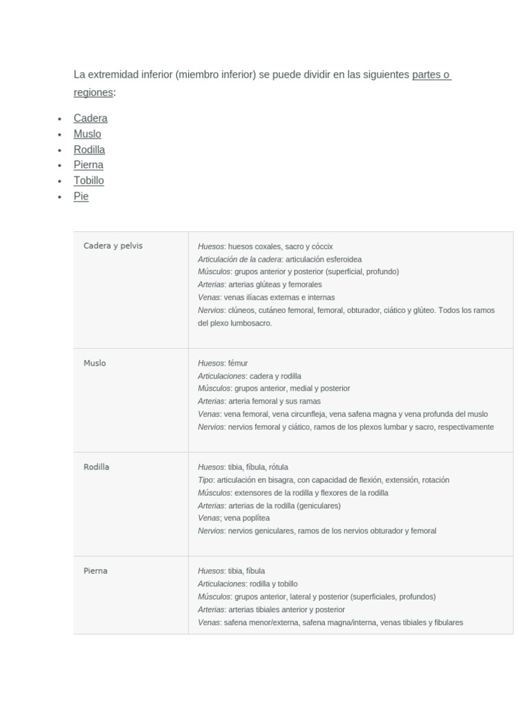 La Extremidad Inferior | PDF | Pelvis | Pie