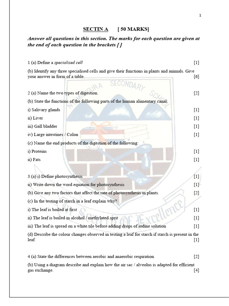 Form 3 Combined Science End of Year 2023 | PDF | Magnesium | Chlorine