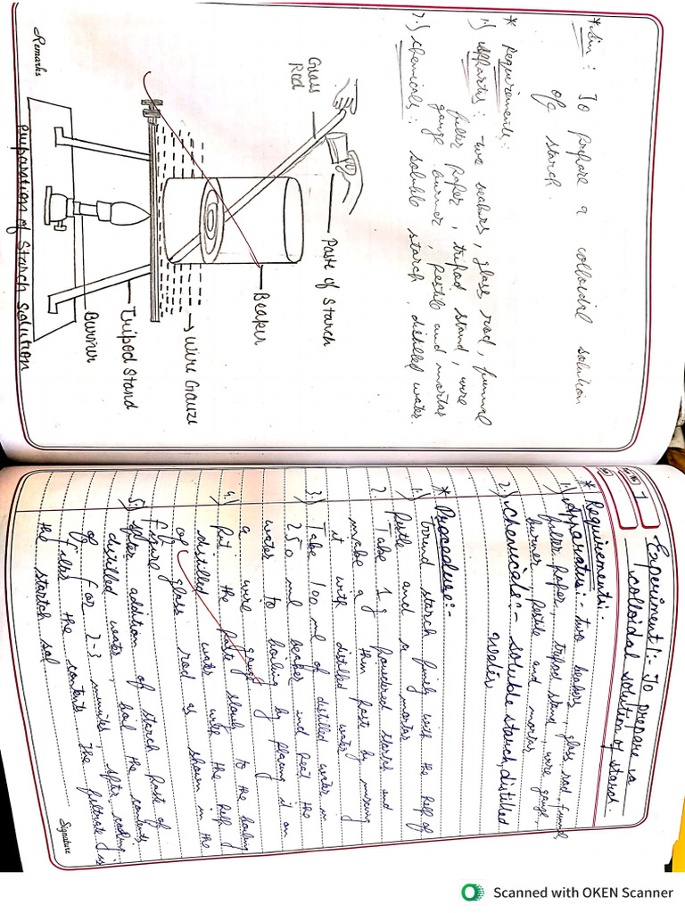 Chemistry Practical Pps | PDF
