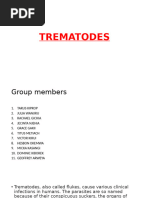 Trematodes Overview and Hosts | PDF | Parasitology