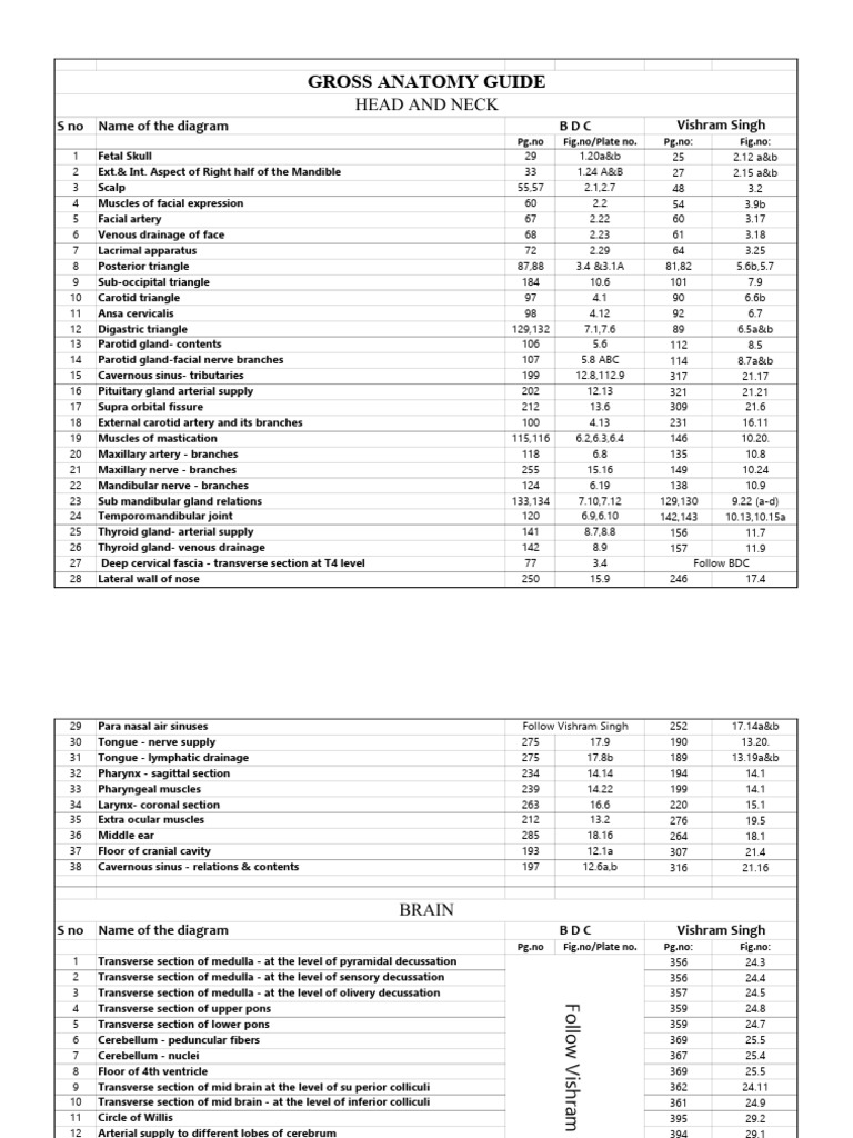 BDS. Gross Anatomy Guide | PDF | Cerebellum | Cerebral Hemisphere