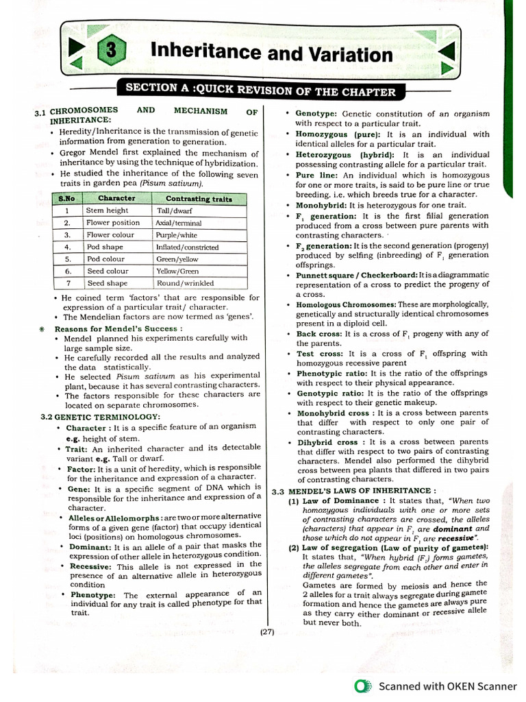 3 - Inheritance and Variations (Notes) | PDF