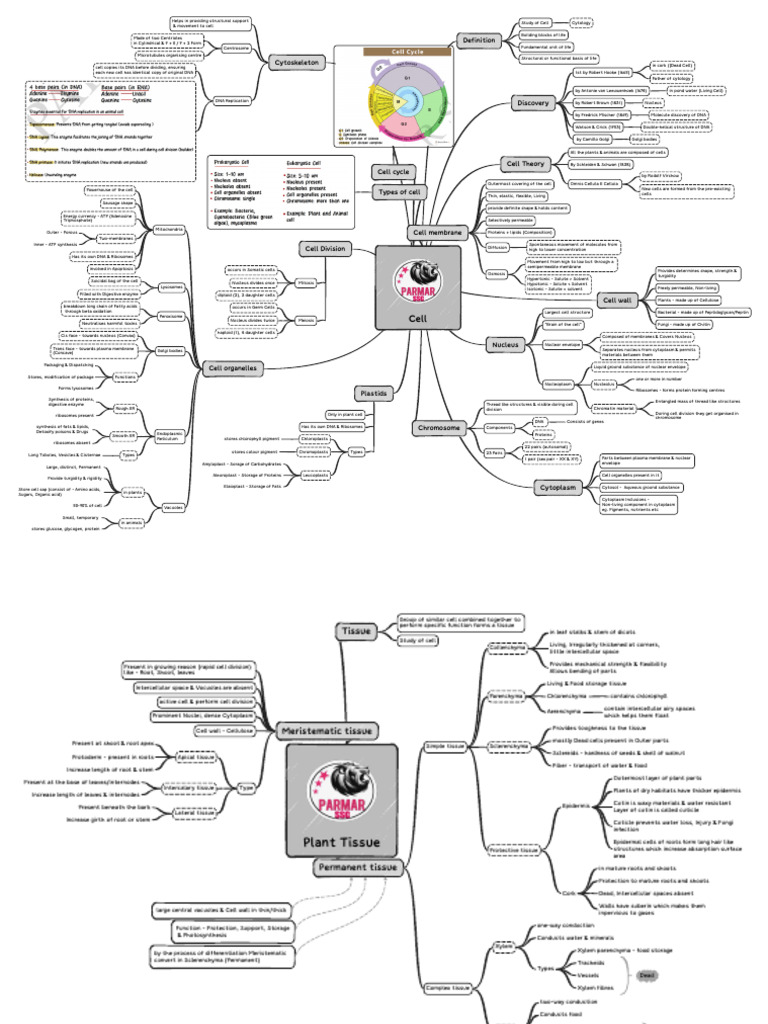 Bio Mind Map | PDF | Cell (Biology) | Cell Biology