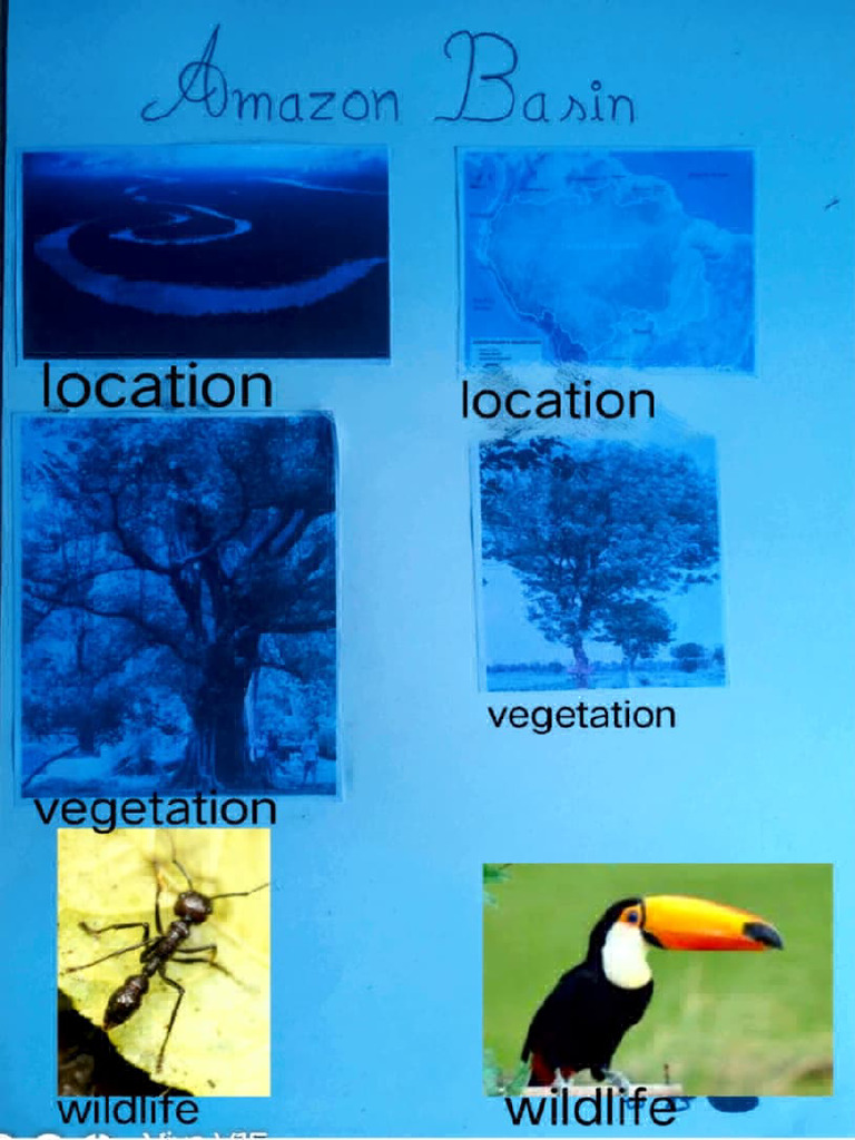 Geography Holiday Homework | PDF