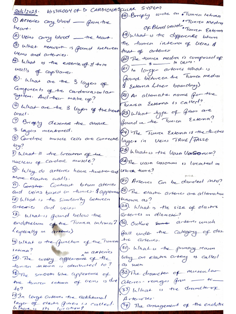 Histology of The CVS Q&a | PDF