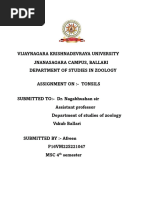 Grading of Tonsil | PDF